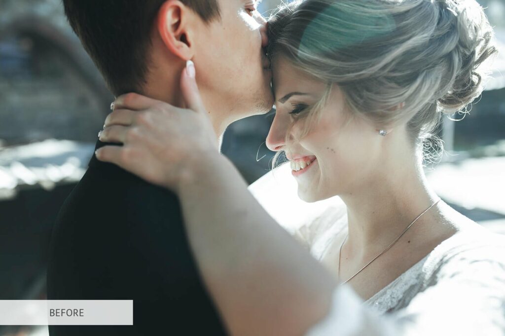 Professional LUTs Entire Collection – MasterBundles