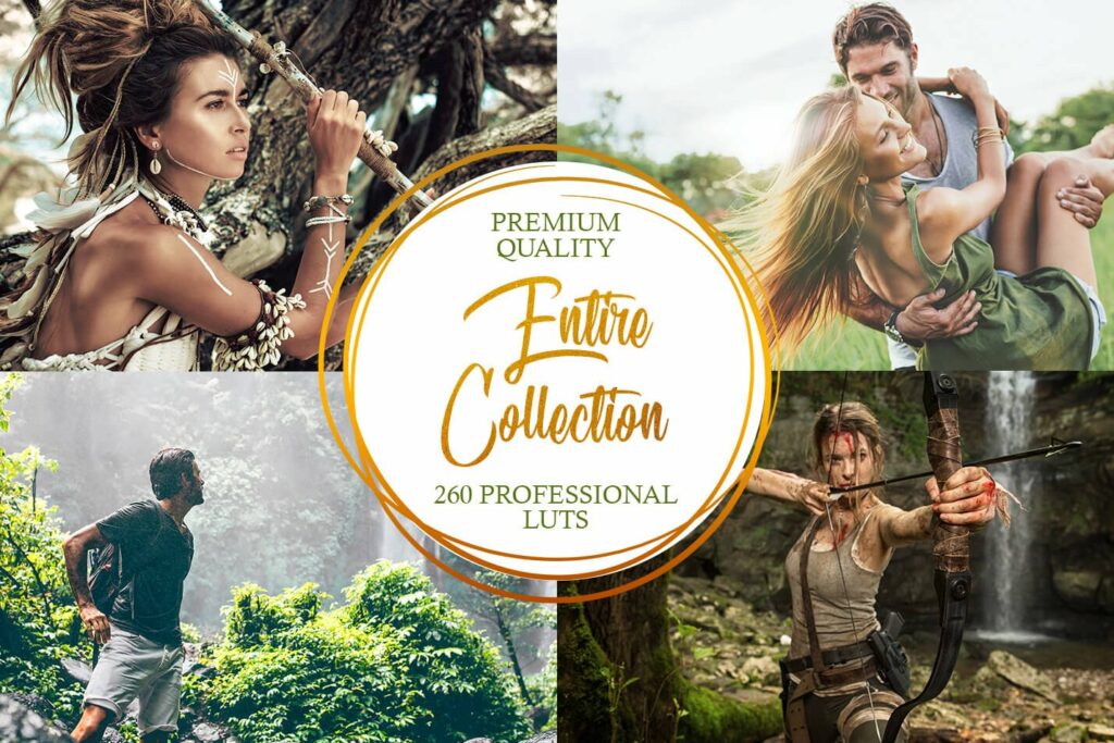 Professional LUTs Entire Collection – MasterBundles