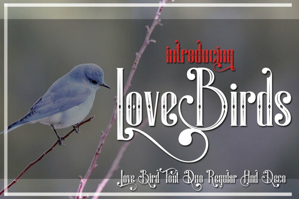 Special Collection 20 Font Bundle – MasterBundles