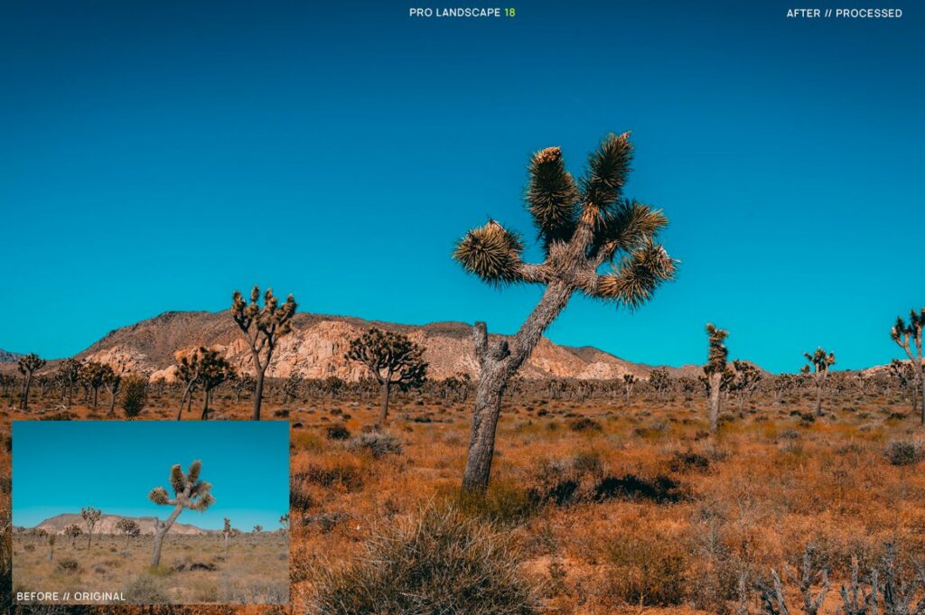18 Pro Landscape Presets Lightroom – MasterBundles