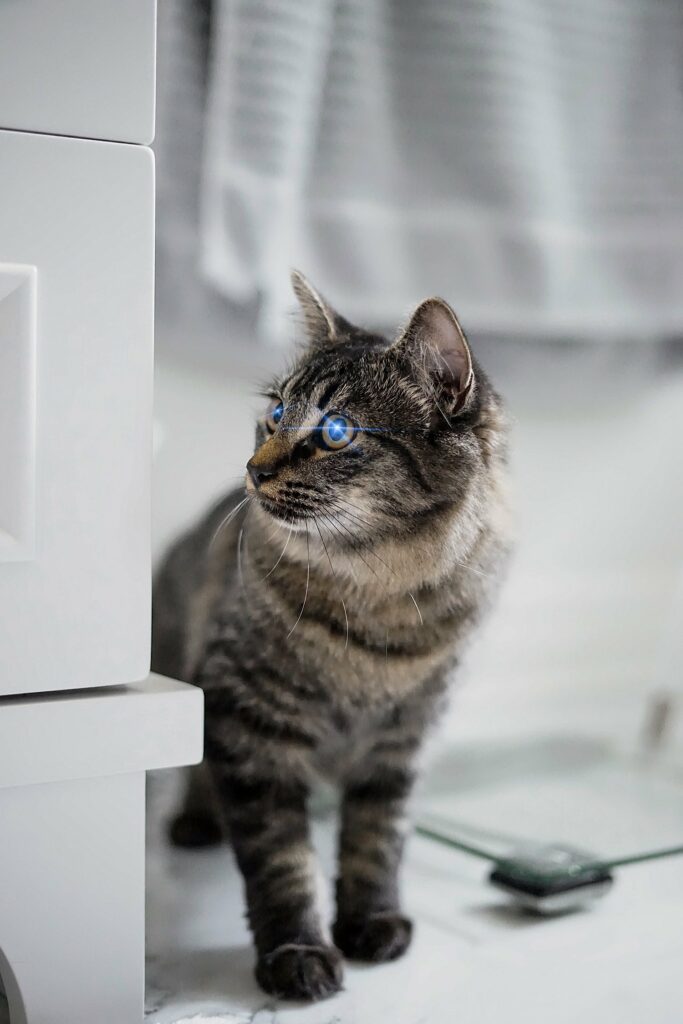 Photoshop Brush Lens Flares Bundle – MasterBundles