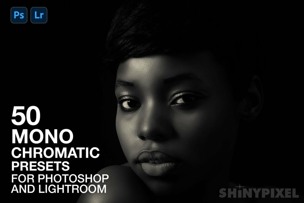 50 Monochromatic Presets for Ps - Lr – MasterBundles