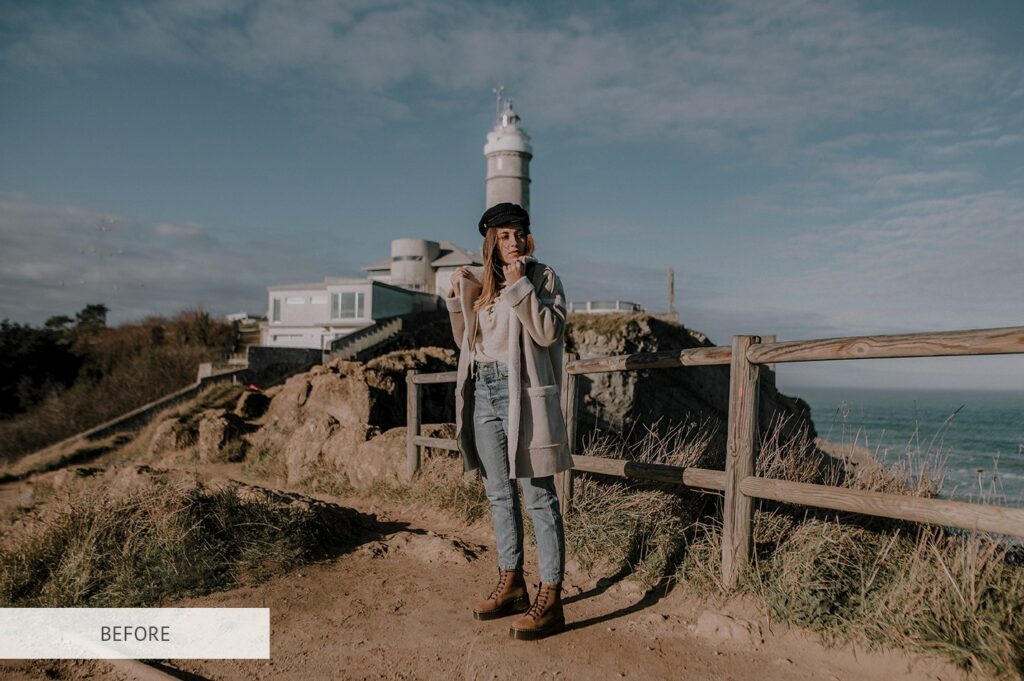 Flying Seagulls Photoshop Overlays – MasterBundles