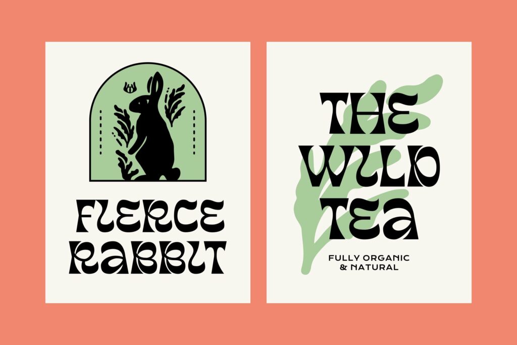 Nortub Moons - Modern Cursive Font – MasterBundles