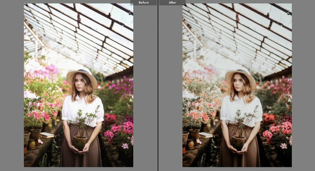 Persons Story - Lightroom Presets – MasterBundles