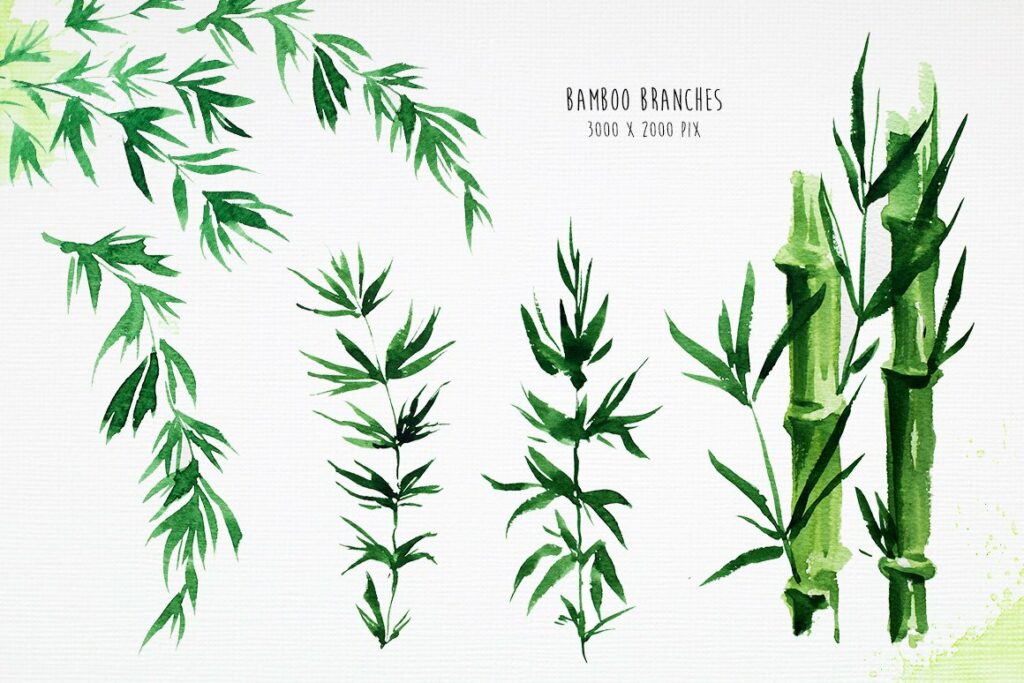Bamboo. Watercolor illustrations. – MasterBundles