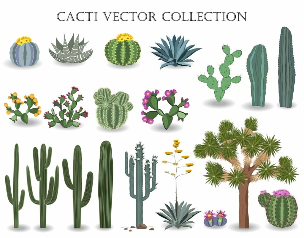 Cactus Collection – MasterBundles