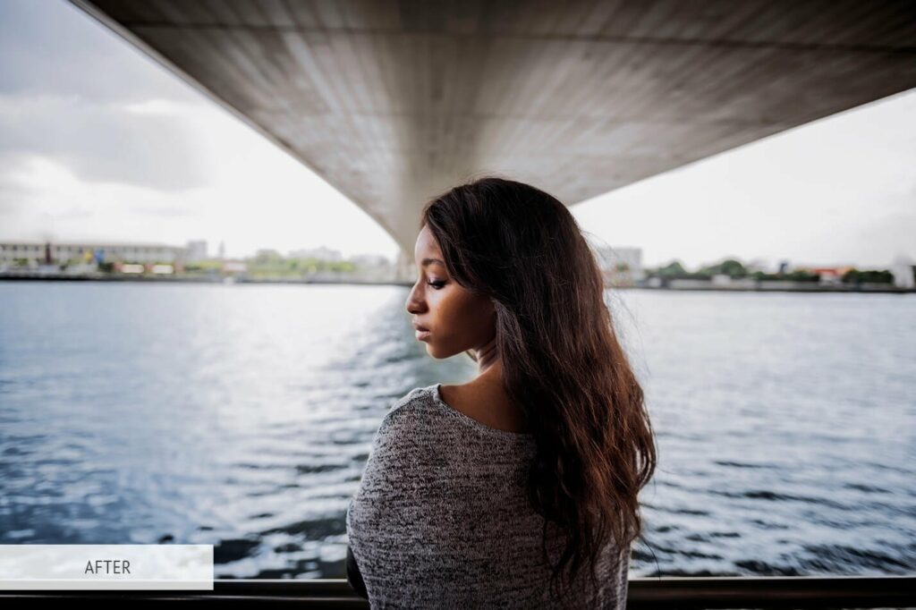 Moody Vibes Presets – MasterBundles