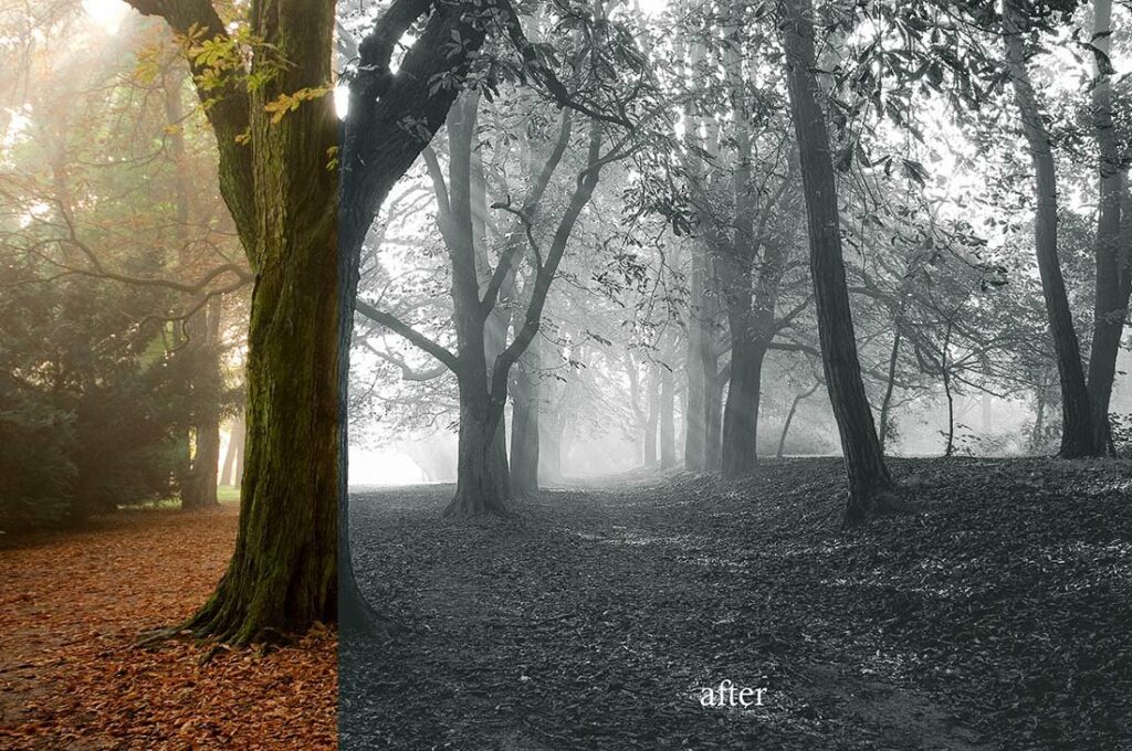 10 Matte B & W Landscape Drama – MasterBundles