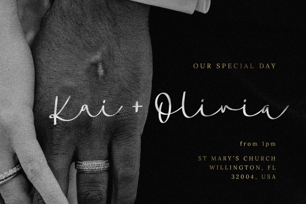 Overleaf Script Font – MasterBundles