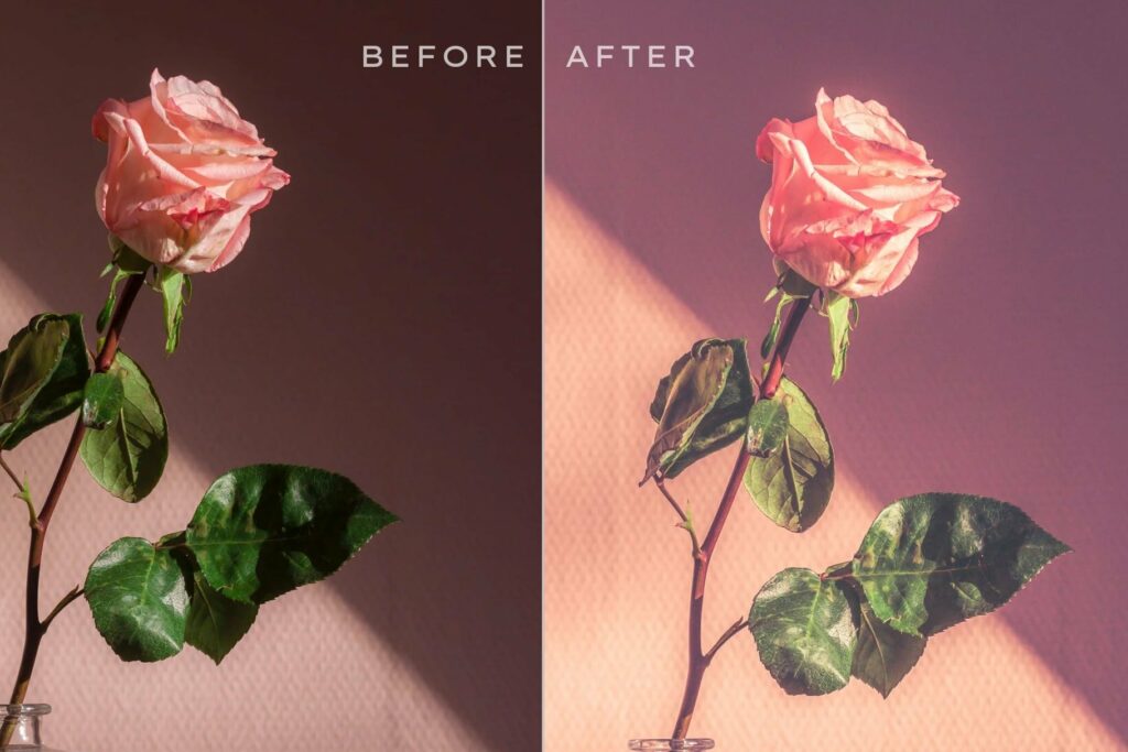 Day Light Lightroom Presets Vol 2 – MasterBundles