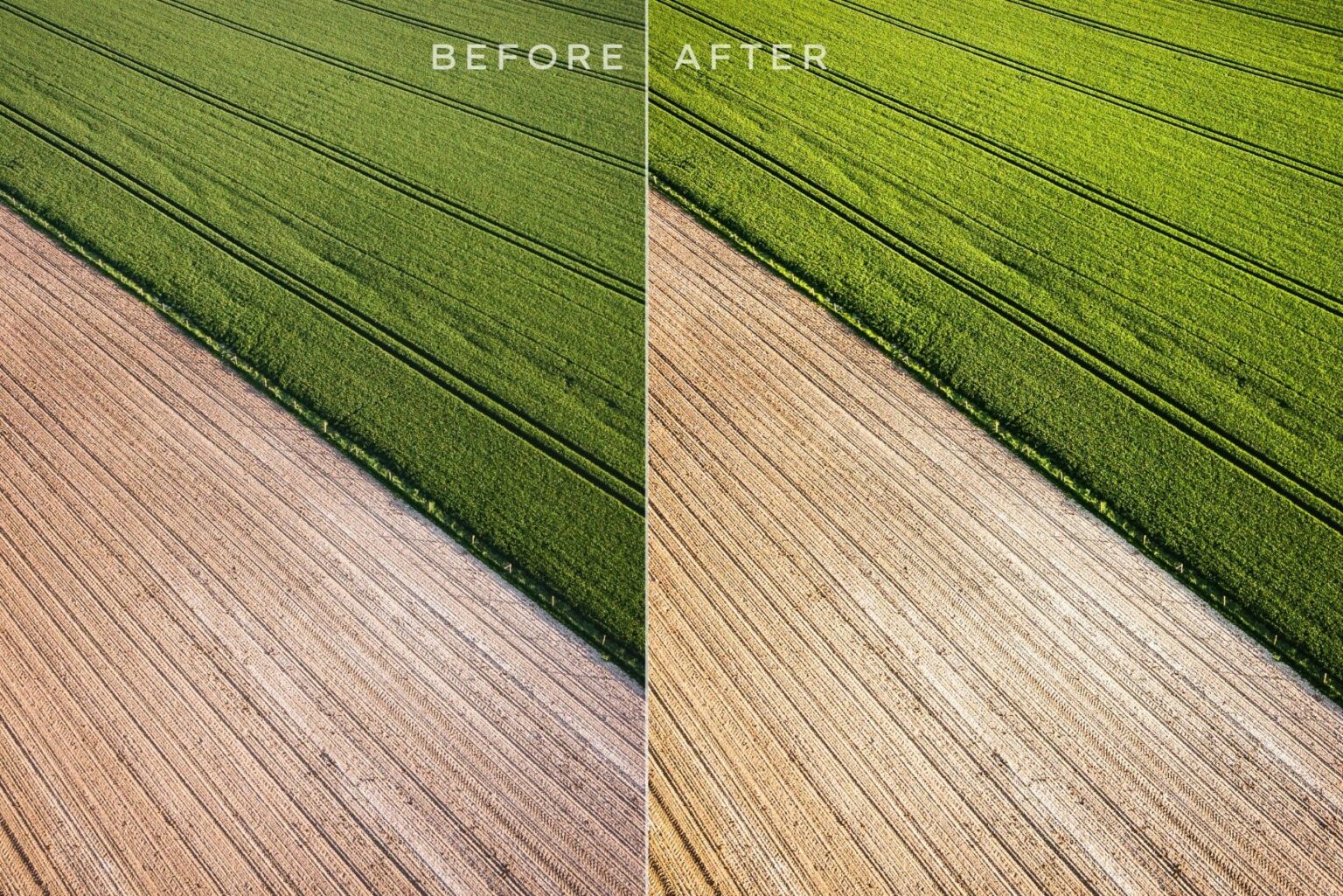 100 Contrast Adjust Lightroom Preset – MasterBundles