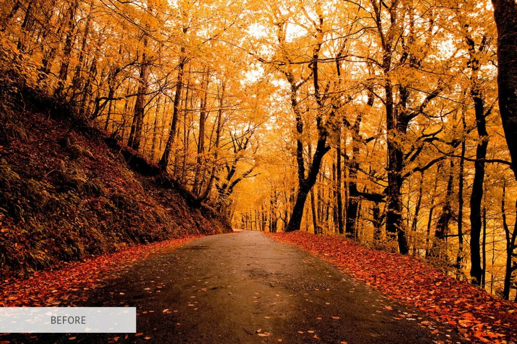 Reflection Photoshop Actions – MasterBundles