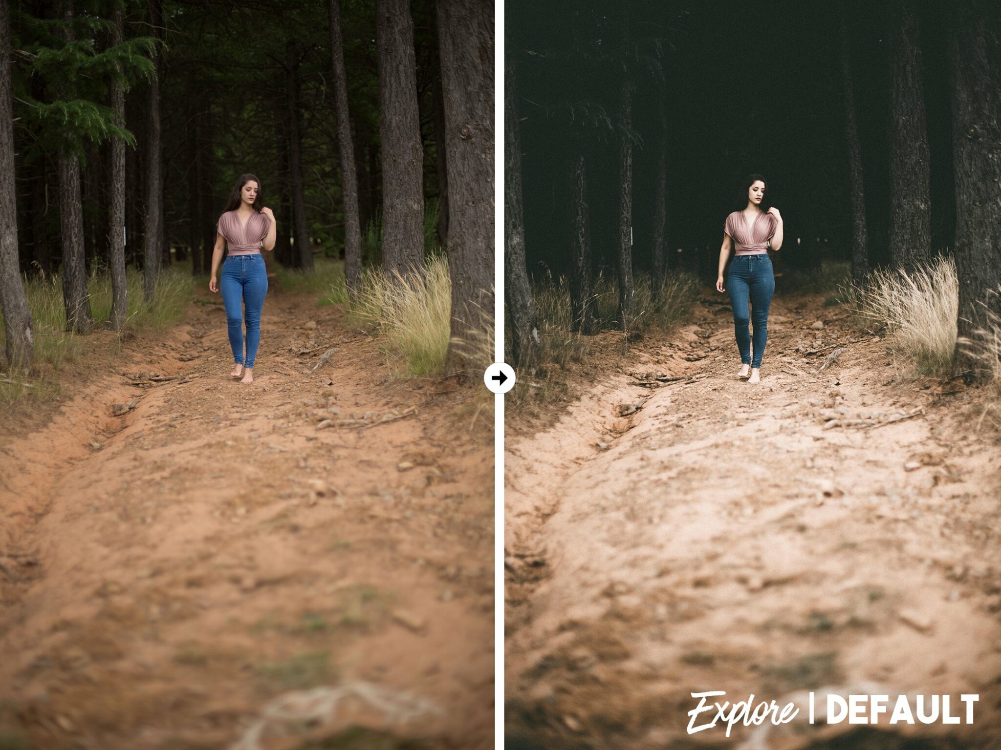 Forest VSCO - Like Lightroom Preset – MasterBundles