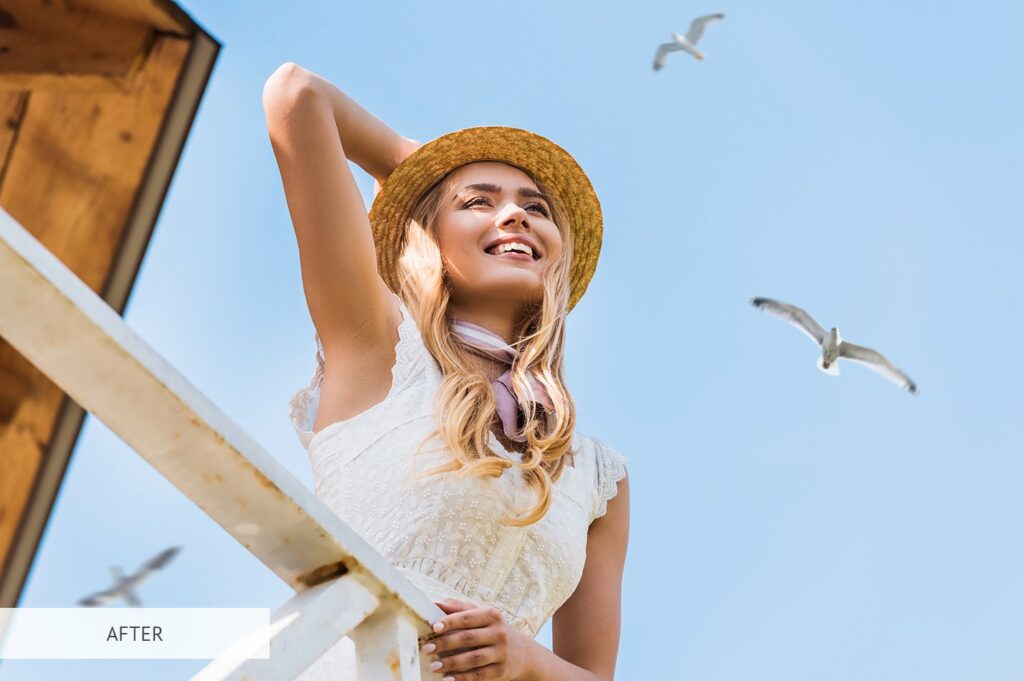 Flying Seagulls Photoshop Overlays – MasterBundles