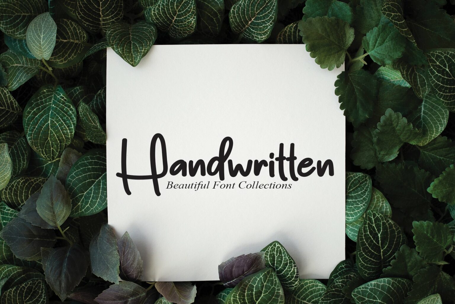 Champion | Script Font – MasterBundles