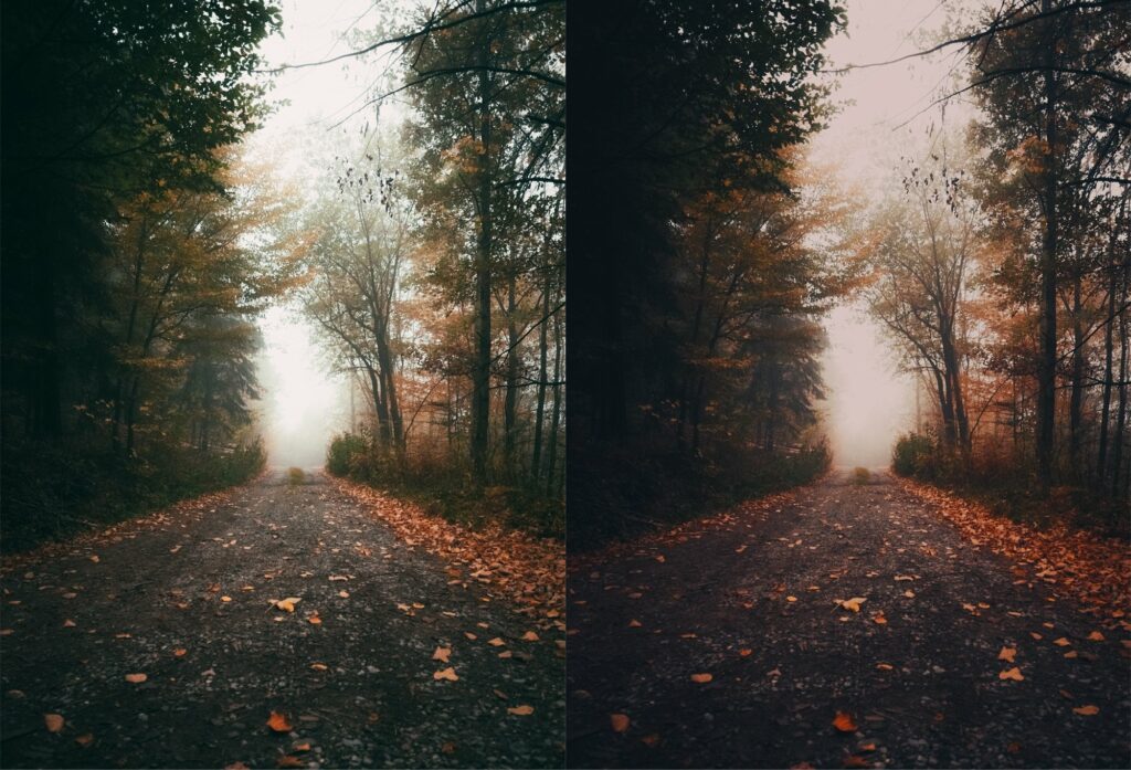 Fall - Autmun Photoshop Actions – MasterBundles