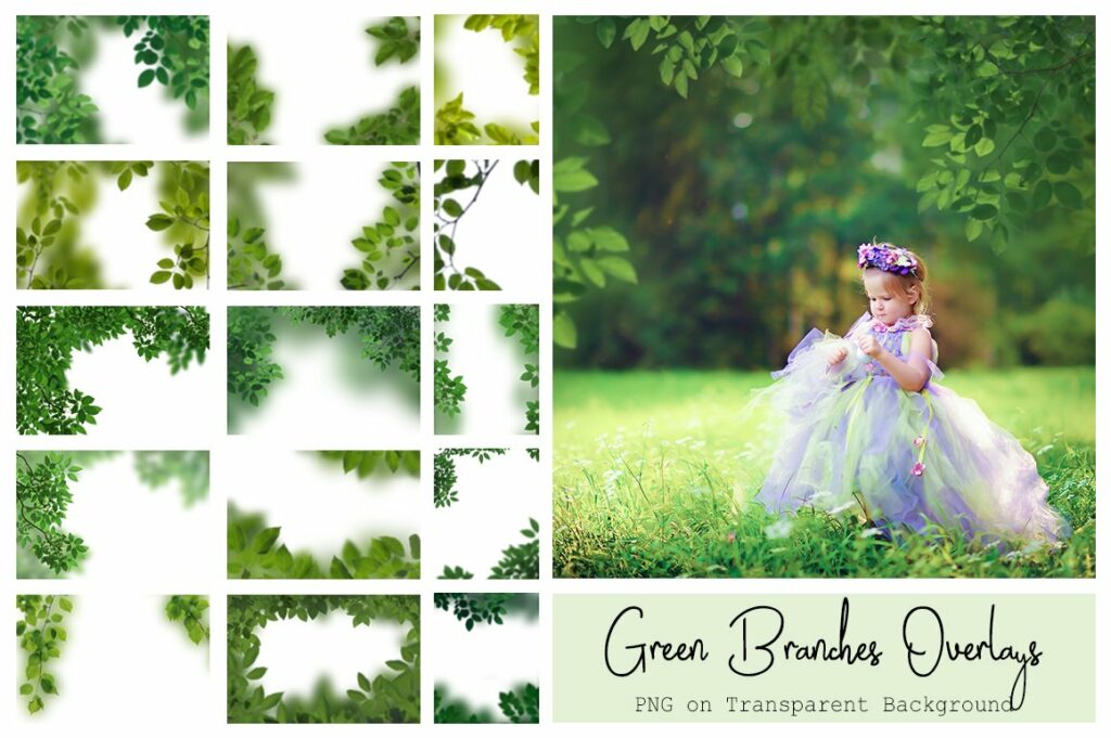 120 Green Tree Branches Overlays – MasterBundles