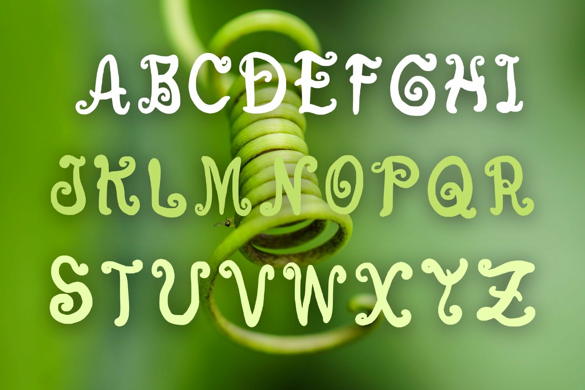 The Vine font, SVG font – MasterBundles