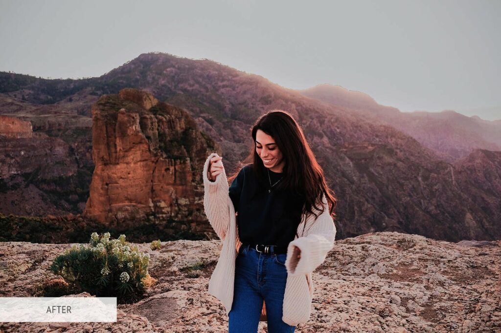 Moody Vibes Presets – MasterBundles