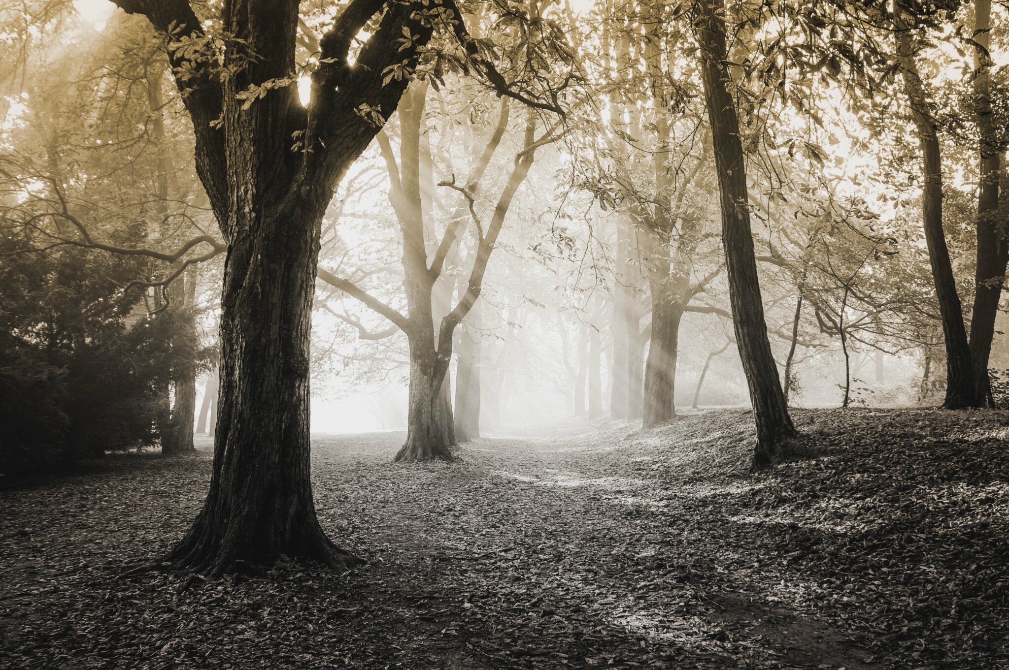 25 Dual Tone Landscape Presets – MasterBundles