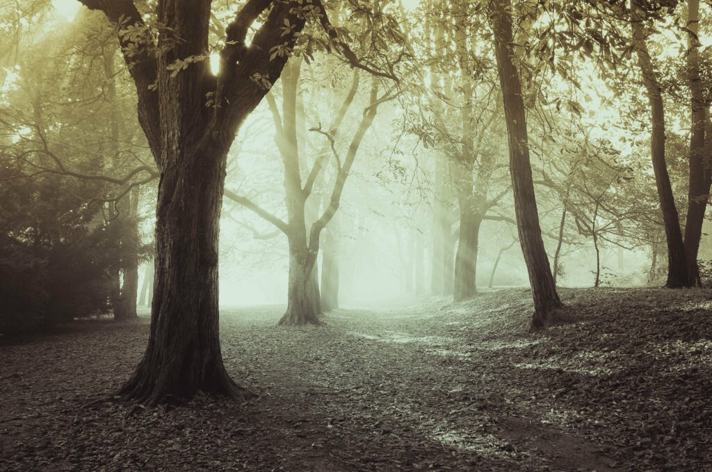 25 Dual Tone Landscape Presets – MasterBundles