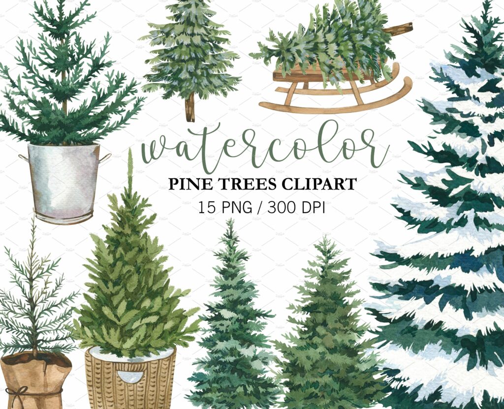 Watercolor Christmas Pine Tree PNG – MasterBundles