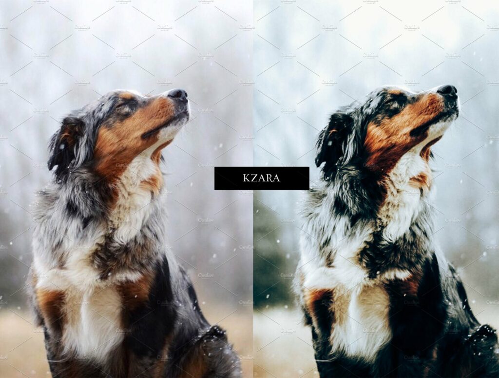 12 x Lightroom, Cinematic Winter – MasterBundles