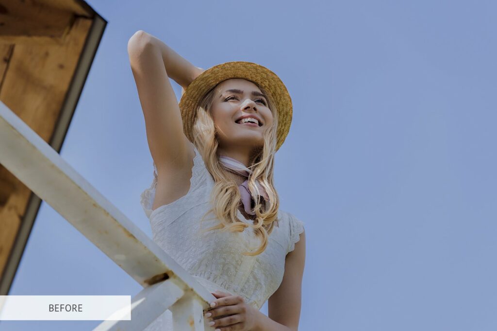 Flying Seagulls Photoshop Overlays – MasterBundles