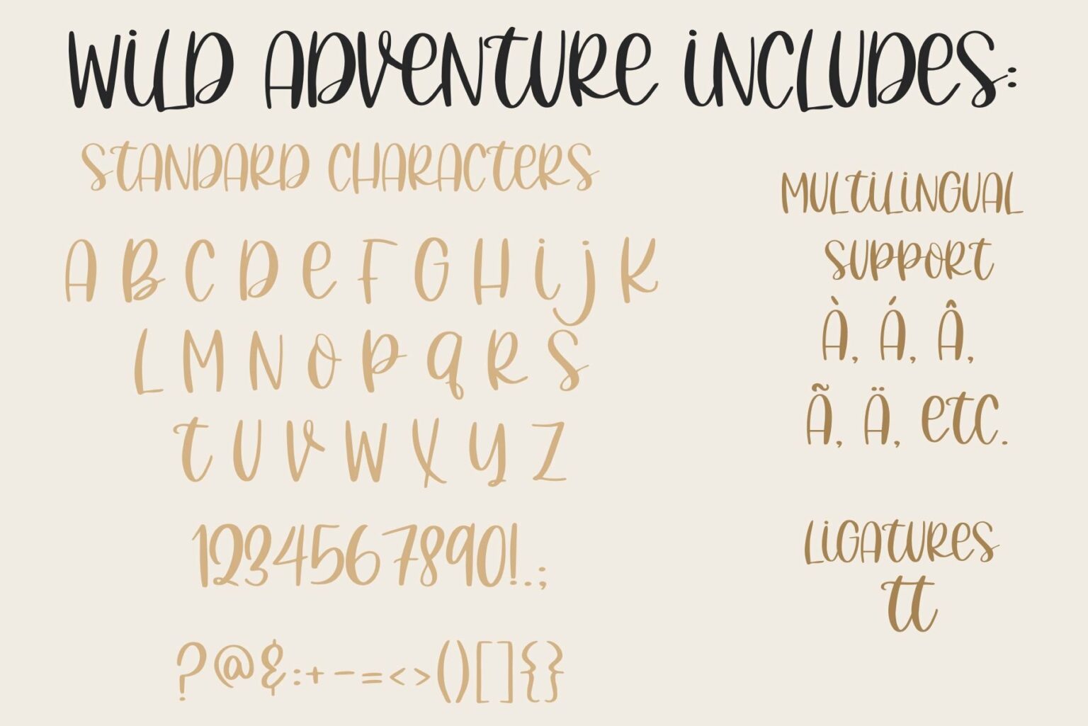 Wild Adventure Handwritten Script – MasterBundles