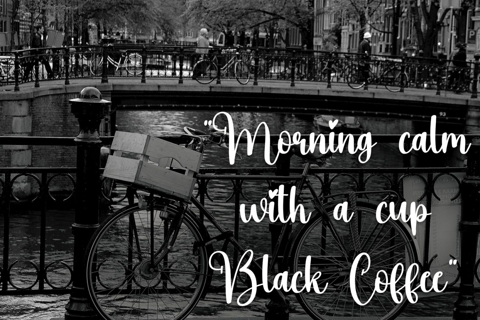 Active | Script Font – MasterBundles