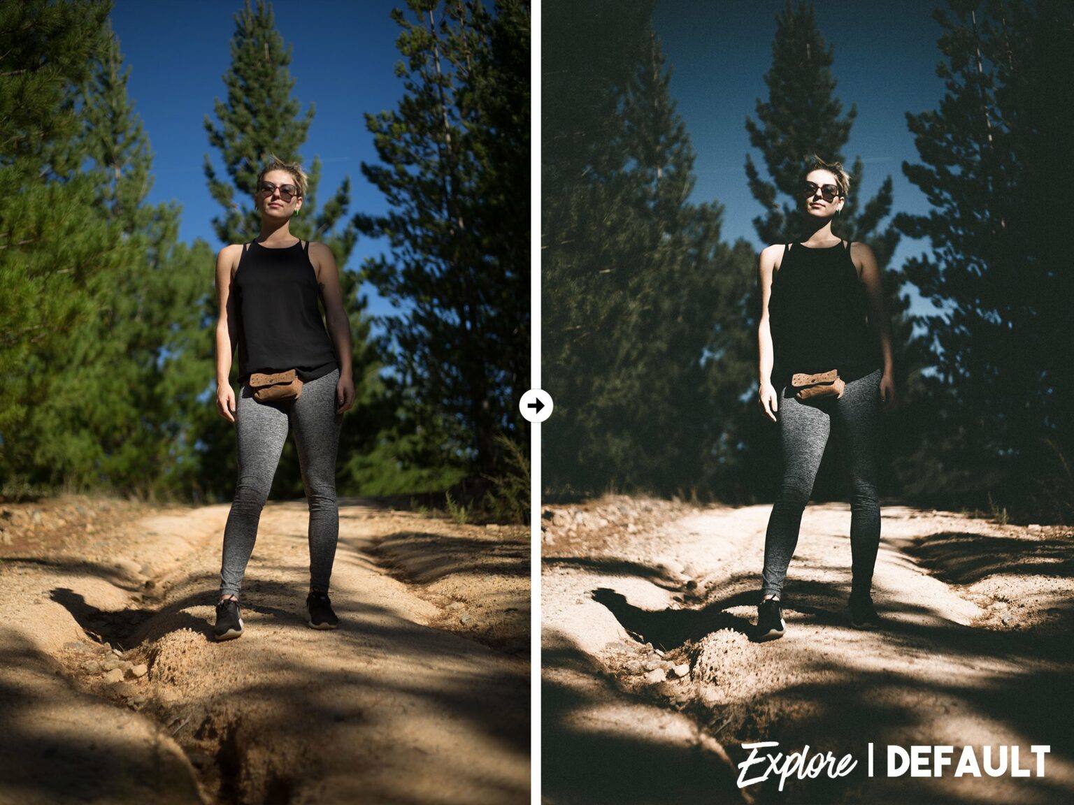 Forest VSCO - Like Lightroom Preset – MasterBundles