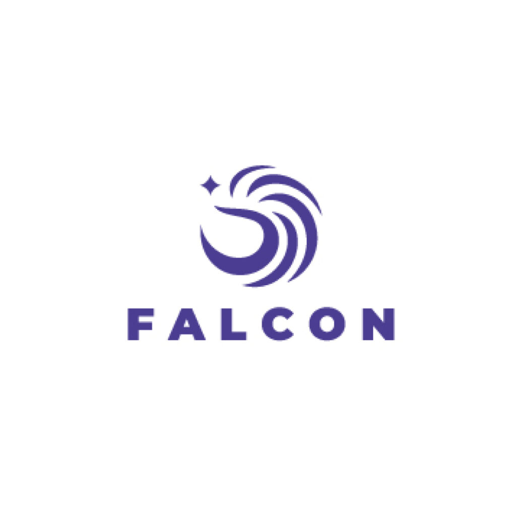 Falcon Logo - MasterBundles