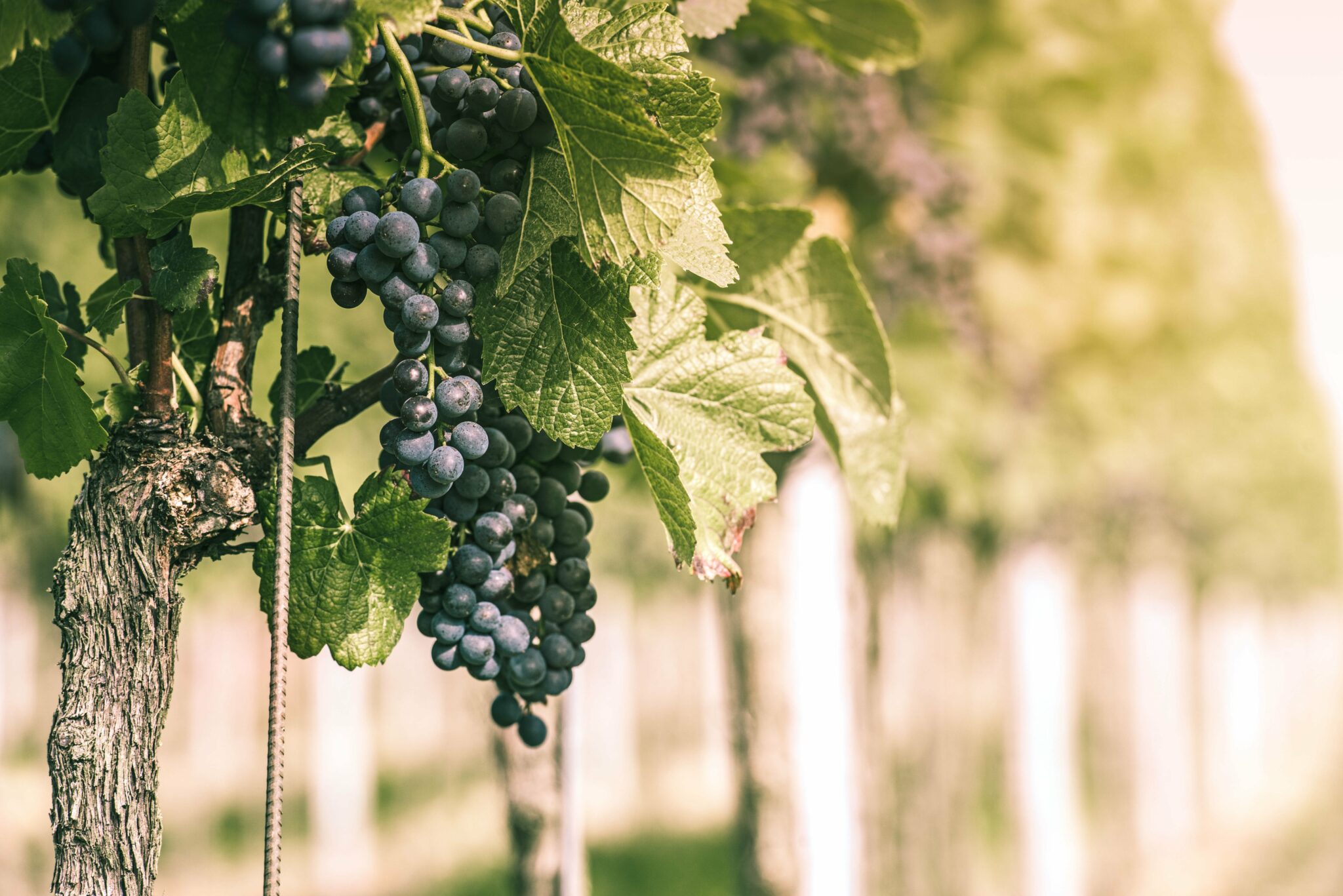 11 Gritty Landscape Presets – MasterBundles