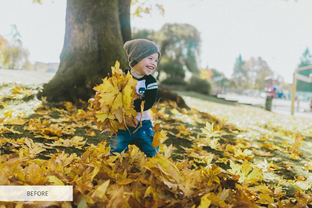 Fall Overlays Photoshop – MasterBundles