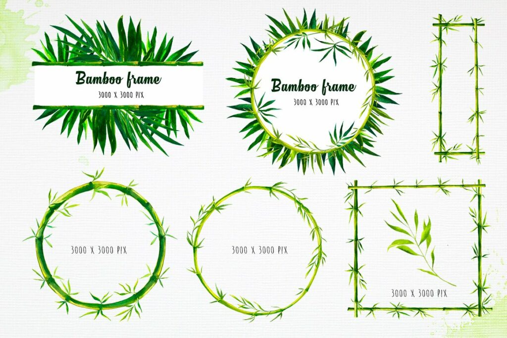 Bamboo. Watercolor illustrations. – MasterBundles