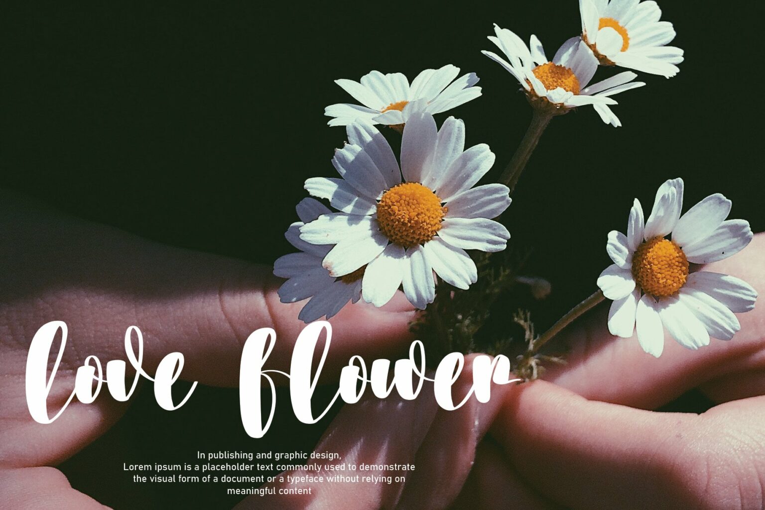 Calligraphy | Handwriten Font – MasterBundles