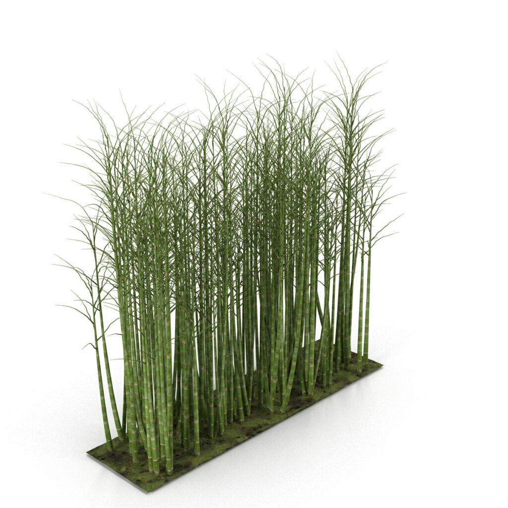 Bamboo wall – MasterBundles