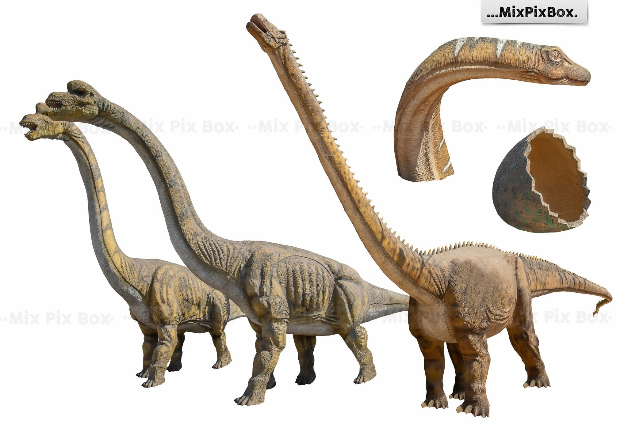 Dinosaurs Photo Overlays Pack – MasterBundles