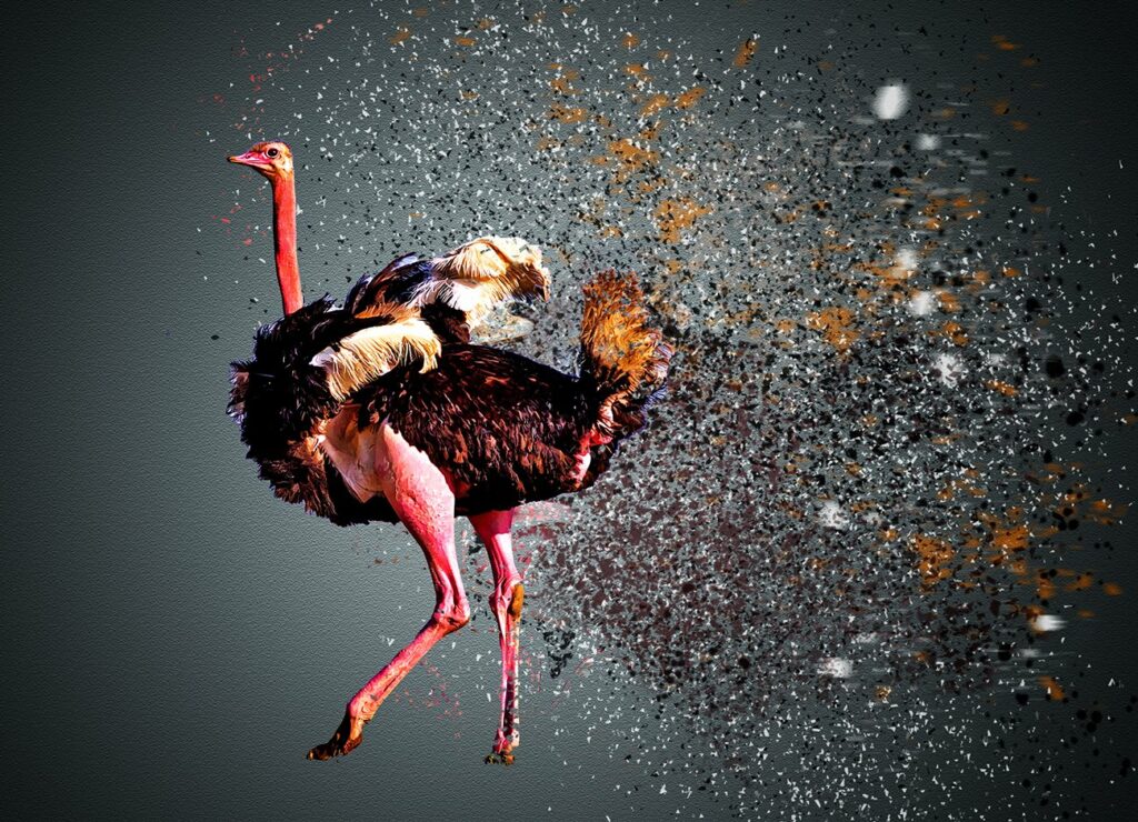 Dispersion Portrait Photoshop Action – MasterBundles