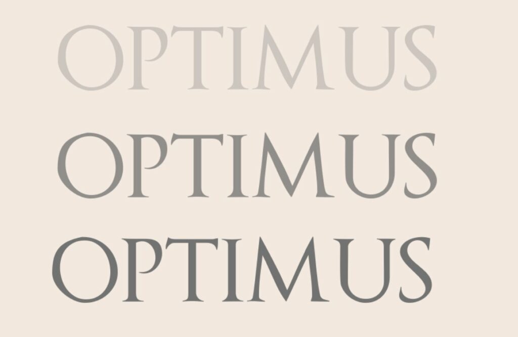 Modern DisplayFont |Minimalist Serif – MasterBundles