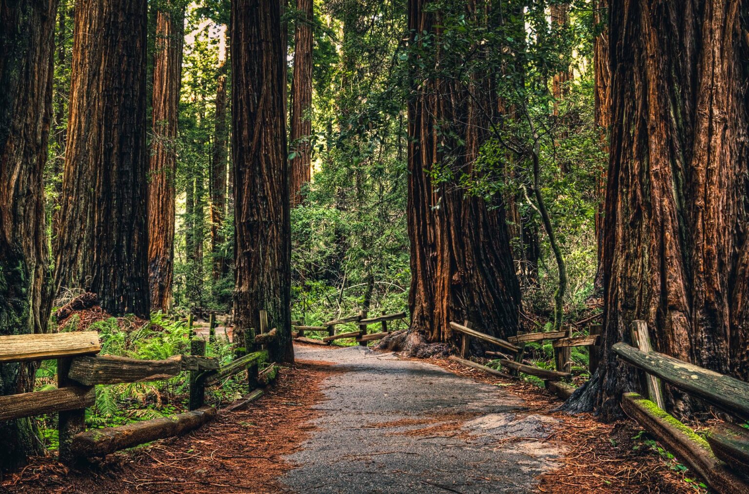 11 Gritty Landscape Presets – MasterBundles