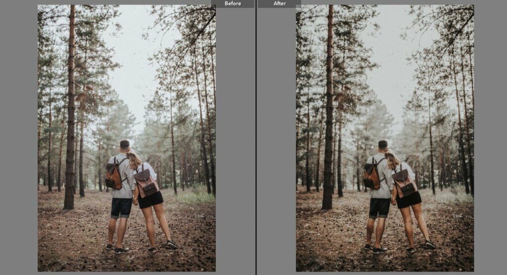 Persons Story - Lightroom Presets – MasterBundles