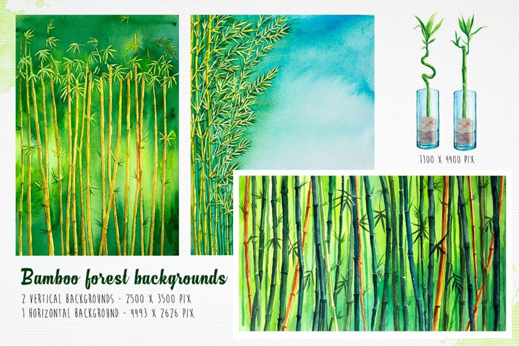 Bamboo. Watercolor illustrations. – MasterBundles