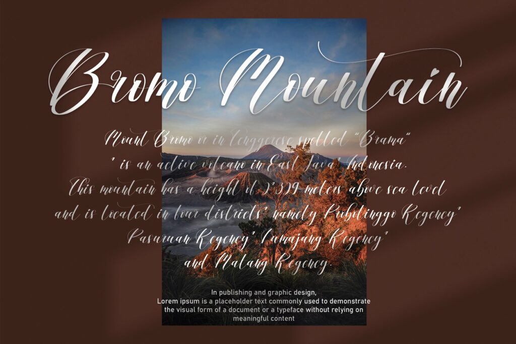 Agatha | Script font – MasterBundles