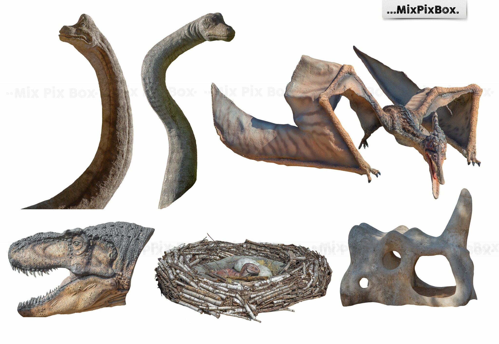 Dinosaurs Photo Overlays Pack – MasterBundles