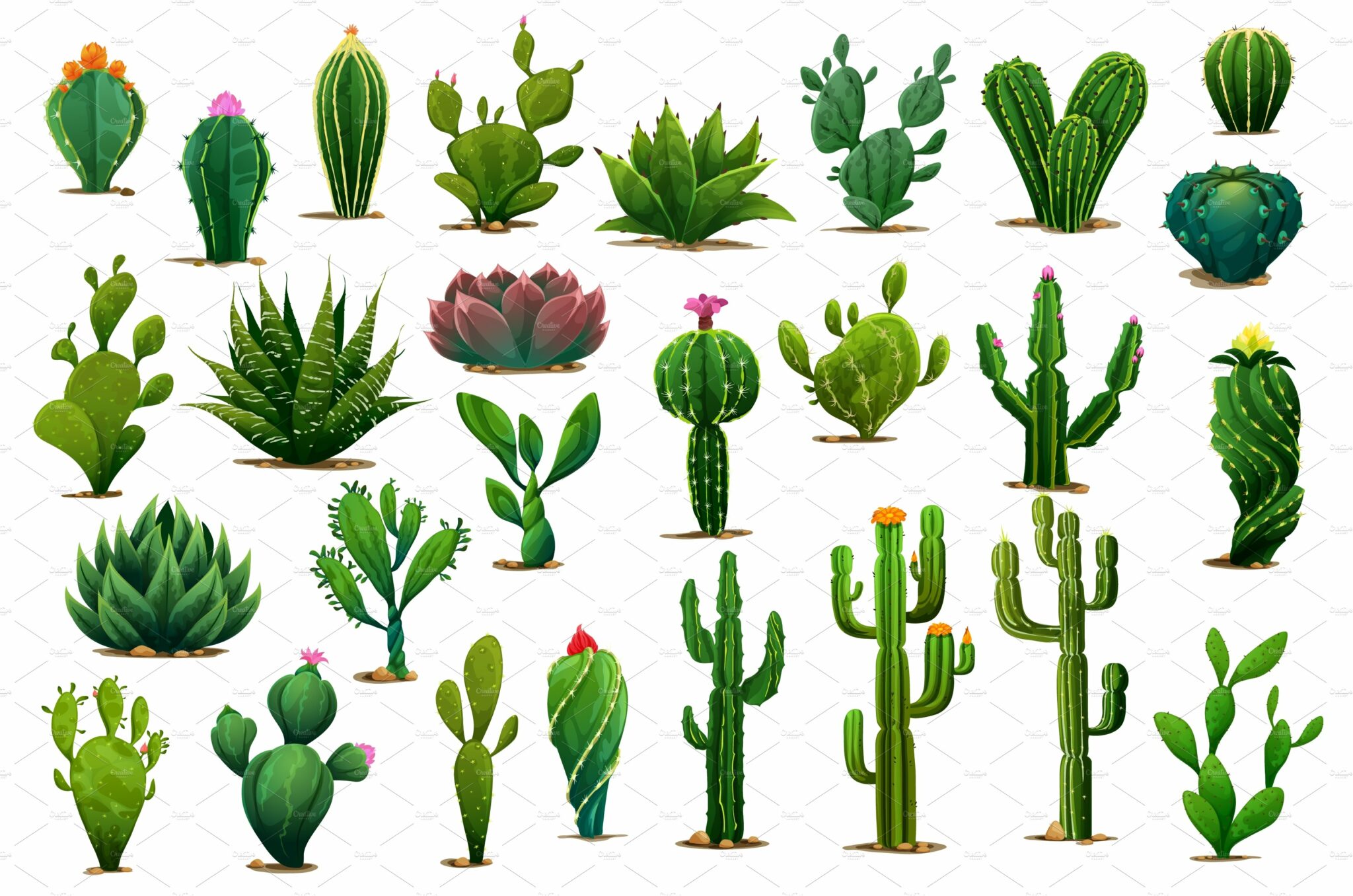 Cartoon prickly succulent cactus – MasterBundles