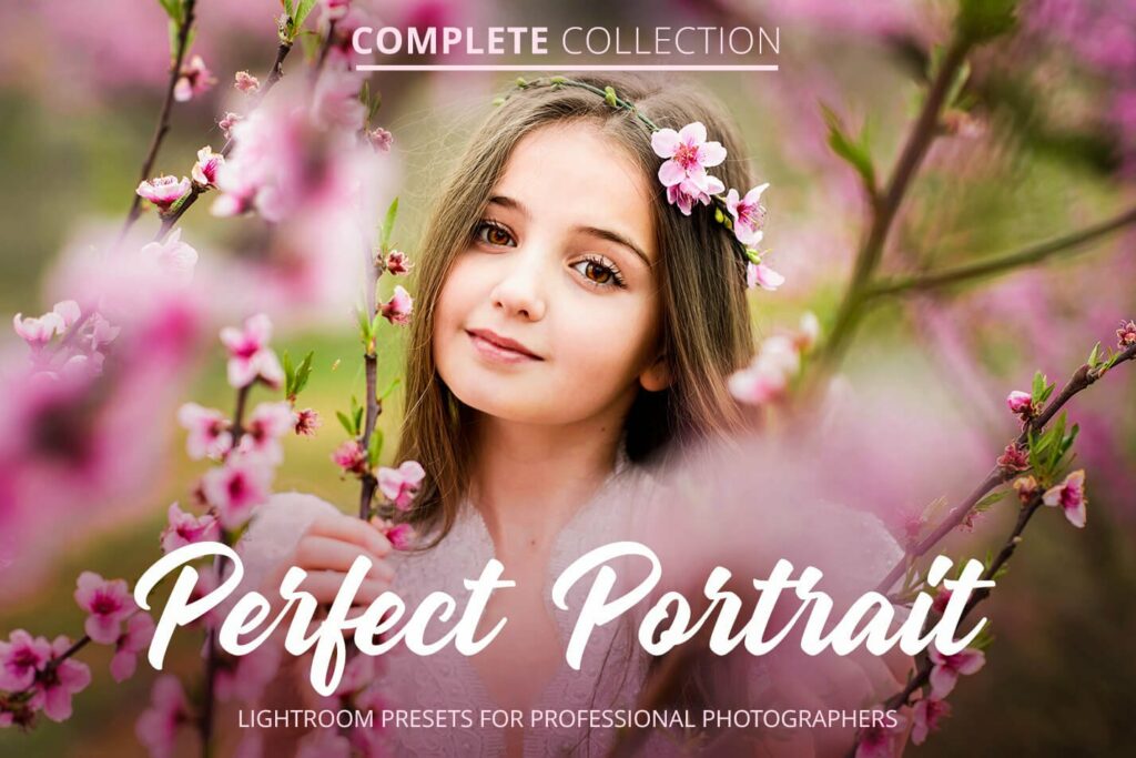 Perfect Portrait Collection – MasterBundles