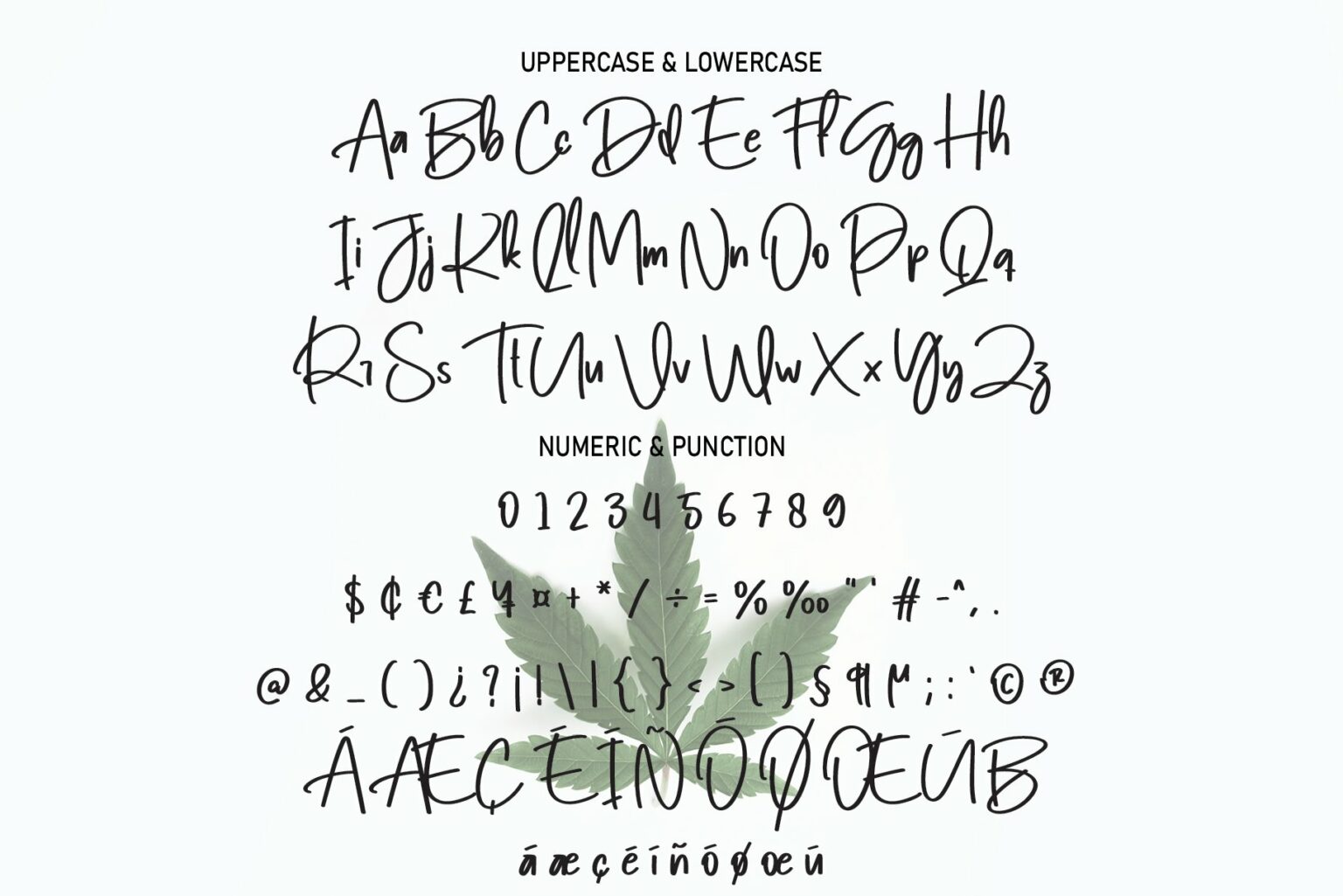 Weed | Script Font – MasterBundles