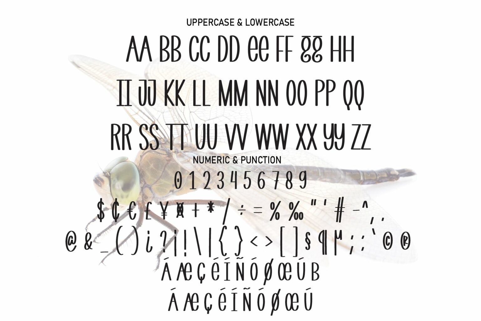 Dragonfly | Script Font – MasterBundles